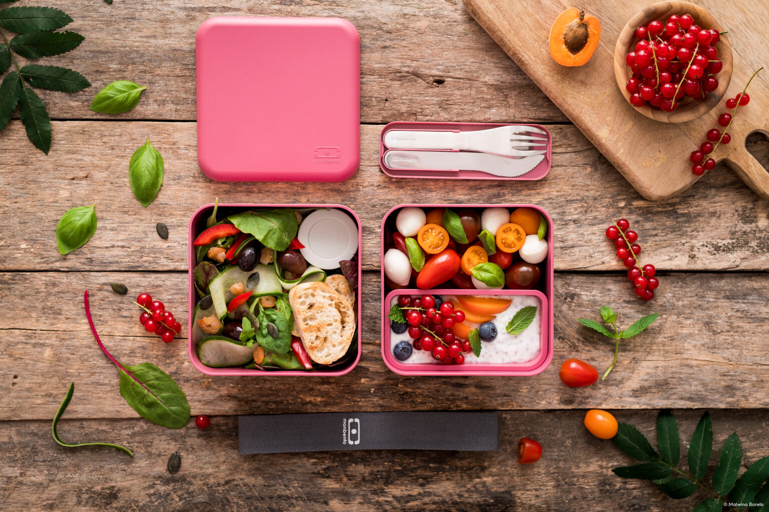 Tout savoir sur les graines de chia - Monbento